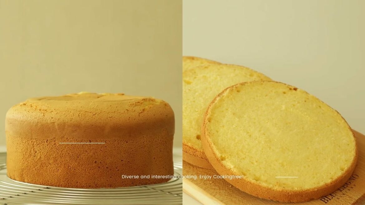 Basic Sponge cake sheet (Genoise) Recipe