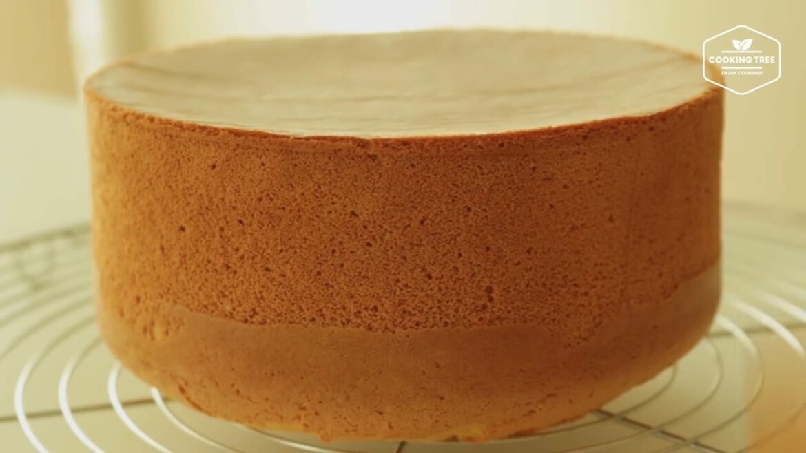 Basic Sponge Cake Sheet Genoise Recipe 1755
