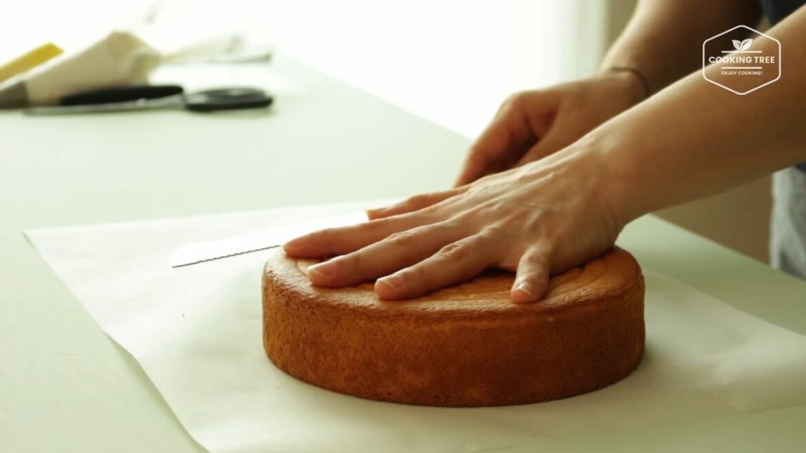 How to make a Sponge-shaped cake