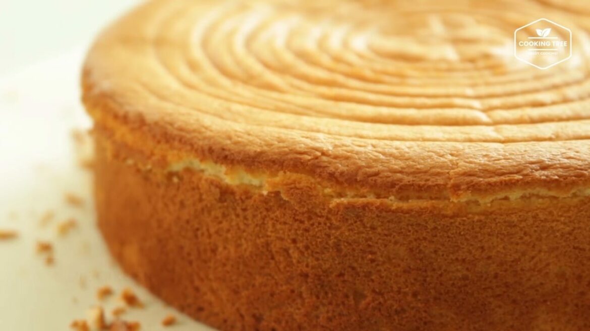 How to make a Sponge-shaped cake