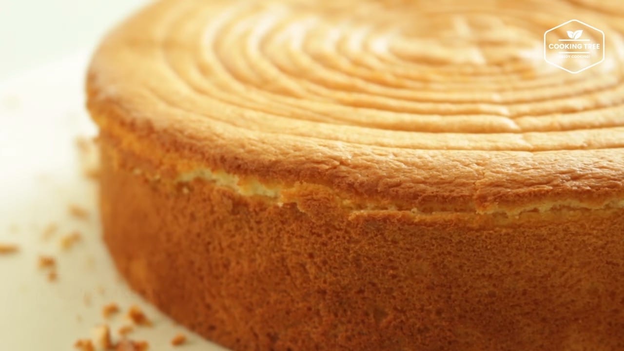 How to make a Sponge-shaped cake