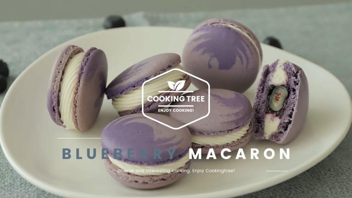 Blueberry Macaron Recipe