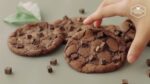 Double Chocolate Cookies Recipe